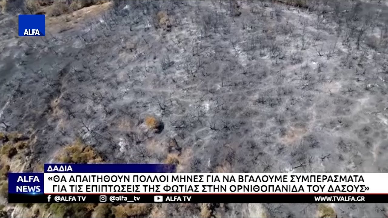 ΚΕΝΤΡΙΚΟ ΔΕΛΤΙΟ 07 09 2023 - YouTube