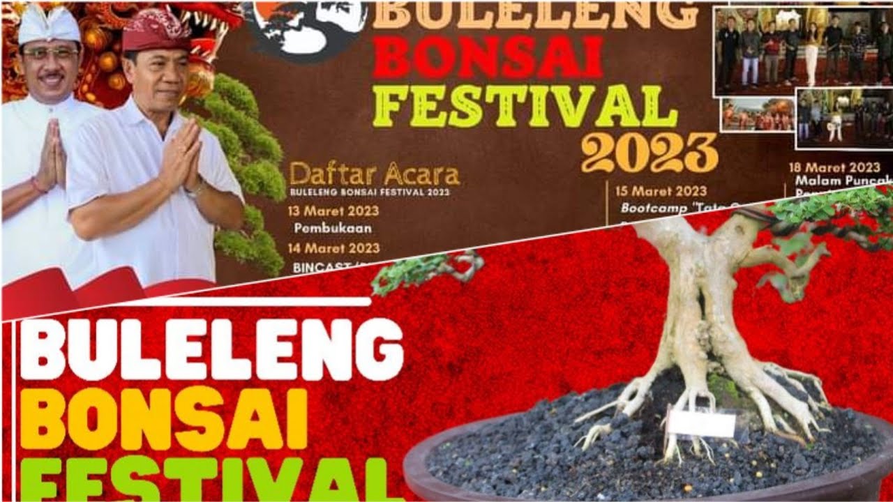 Deretan Bonsai Bonsai Buleleng Festival 2023 Hut Kota Singaraja 419