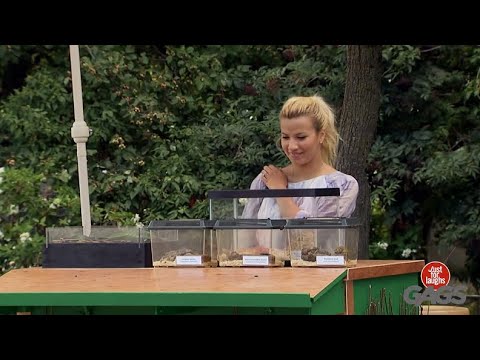 Best of Just For Laughs Gags - May 2022 - Compilation #18