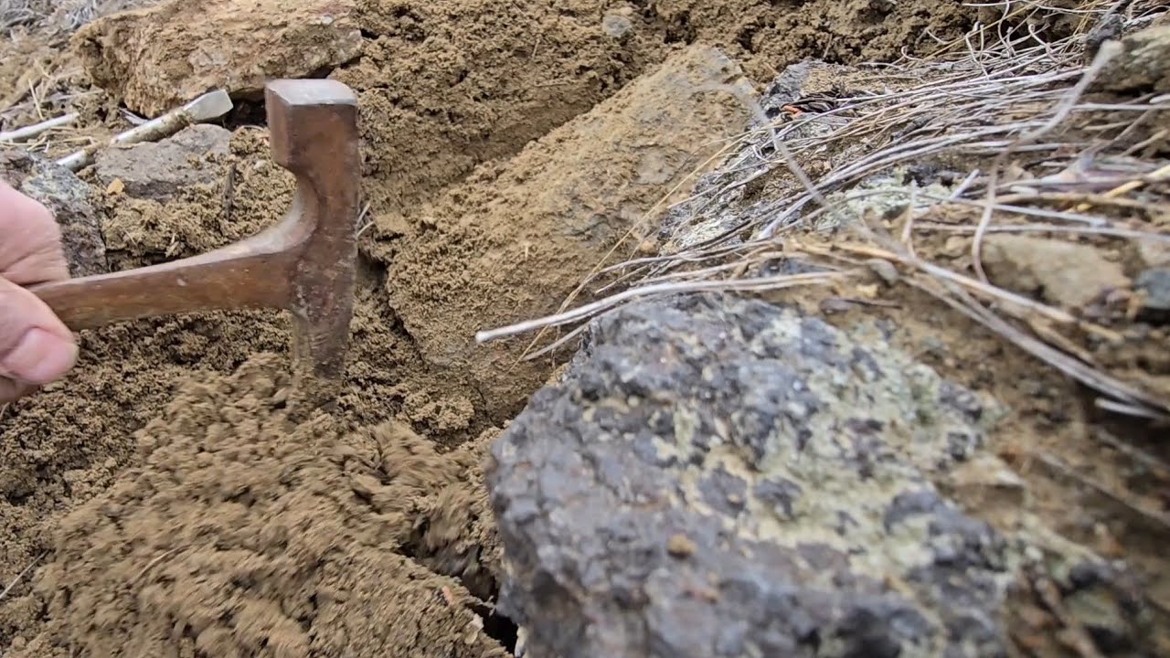 Epic Limb Cast Log Pull: Muddy Oregon Adventure In Search Of Petrified ...