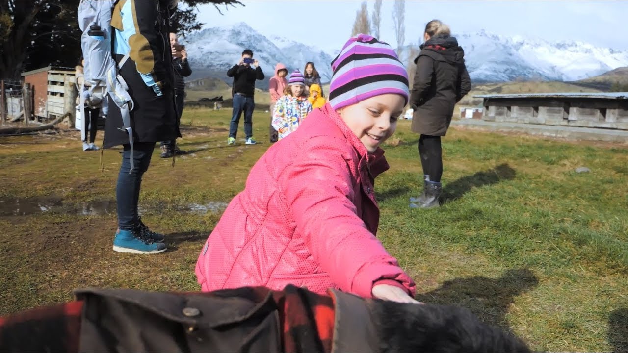 Family Fun in Queenstown, New Zealand - YouTube