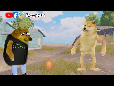 Dogesh ka anda😂 #dogesh #dogememes #cheems #doge #dogeshkiduniya # ...