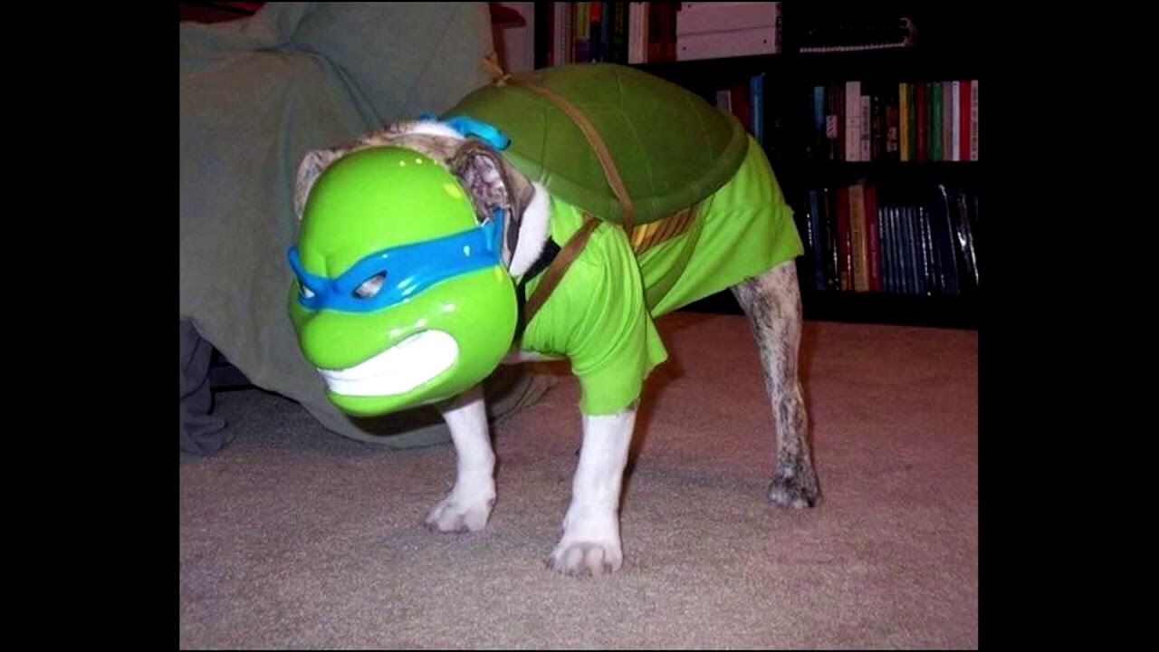 Bonfire Meme Cursed Images - YouTube