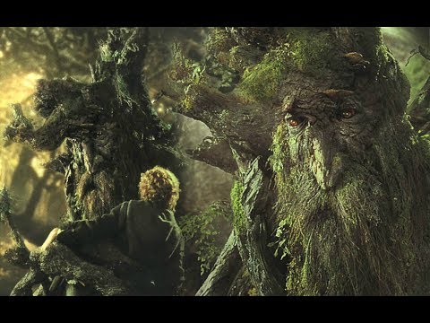 The History Of Treebeard - YouTube
