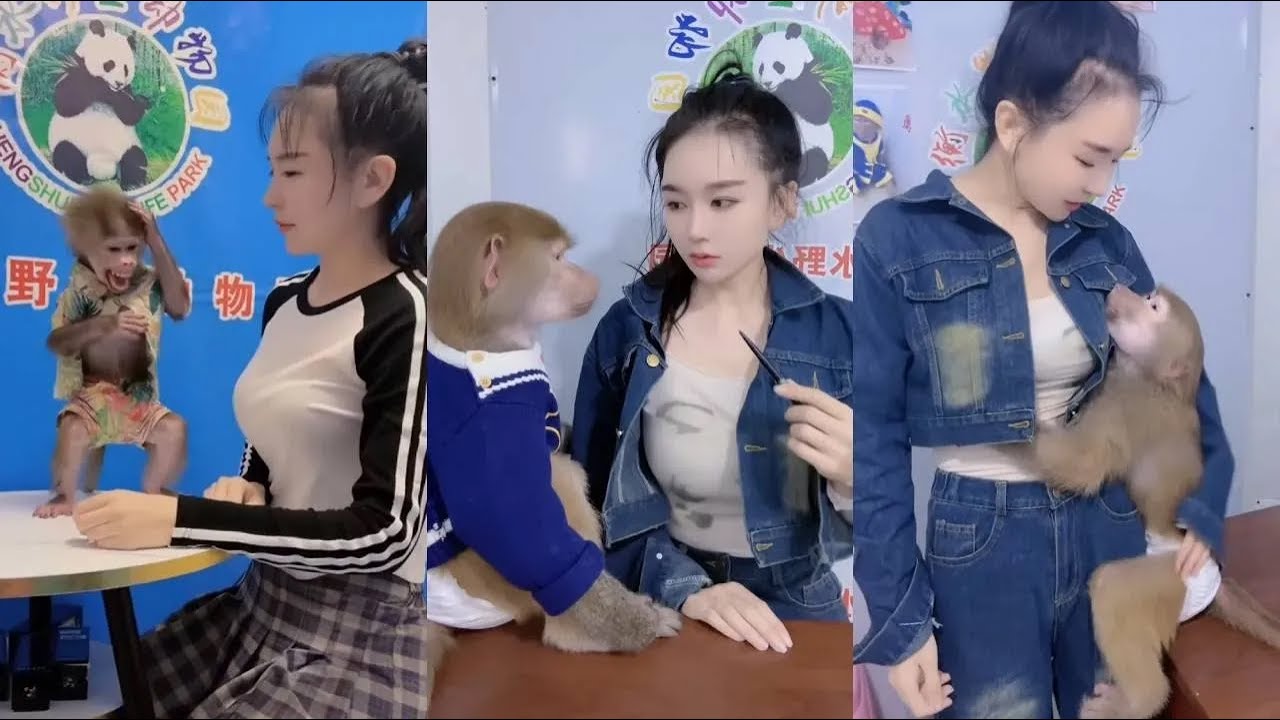 The Daily Life Of A Monkey Trainer: Is Your Child Like This Too? - YouTube