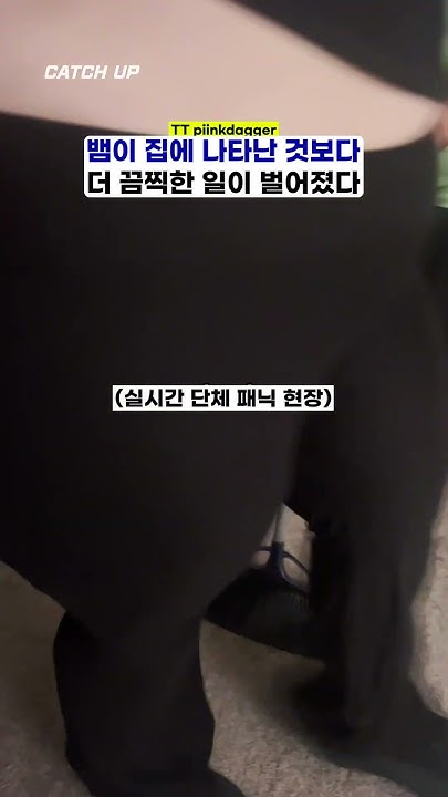 빈그릇에 소름 쫙😱 온가족이 애타게 뱀을 찾는 이유🐍 Youtube