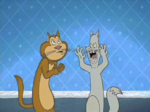 Hairballs - YouTube