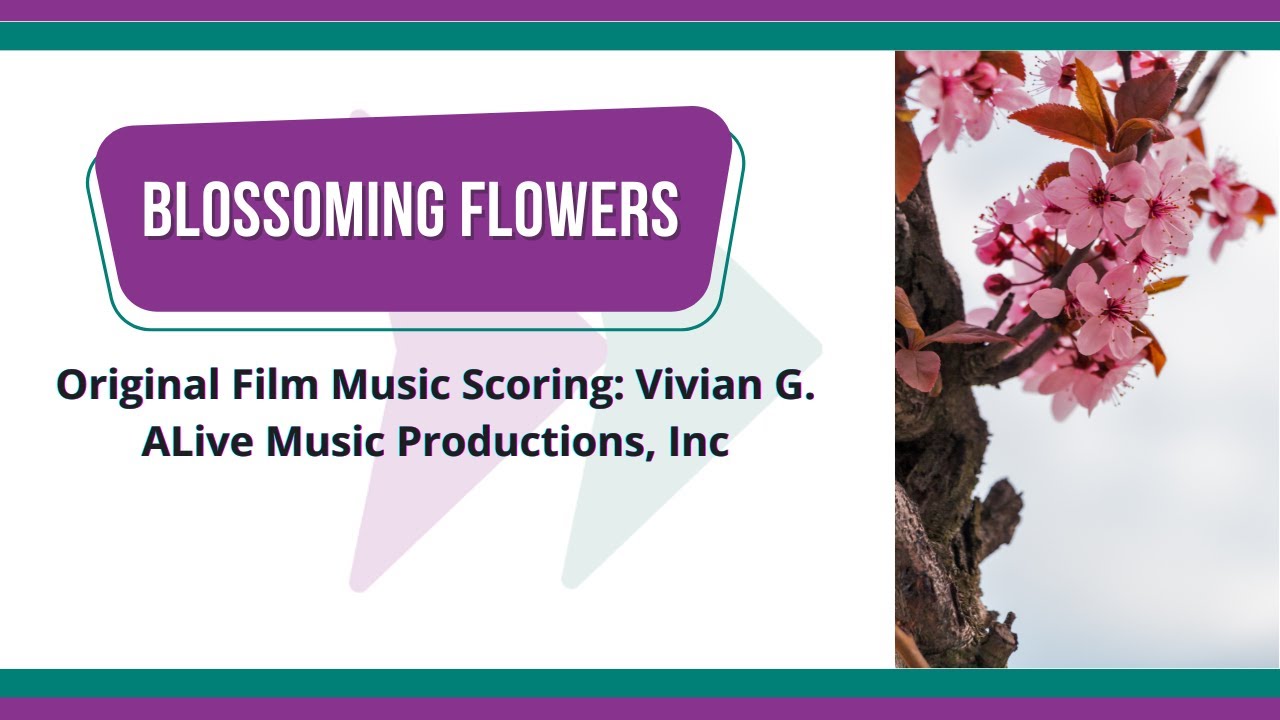 Blossoming Flowers - YouTube