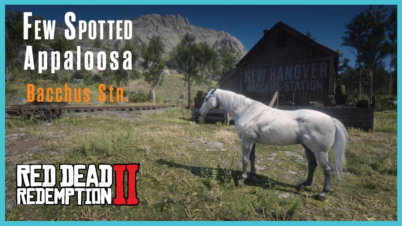 The Search for Few Spotted Appaloosa, #5. Bacchus Station - Cumberland ...