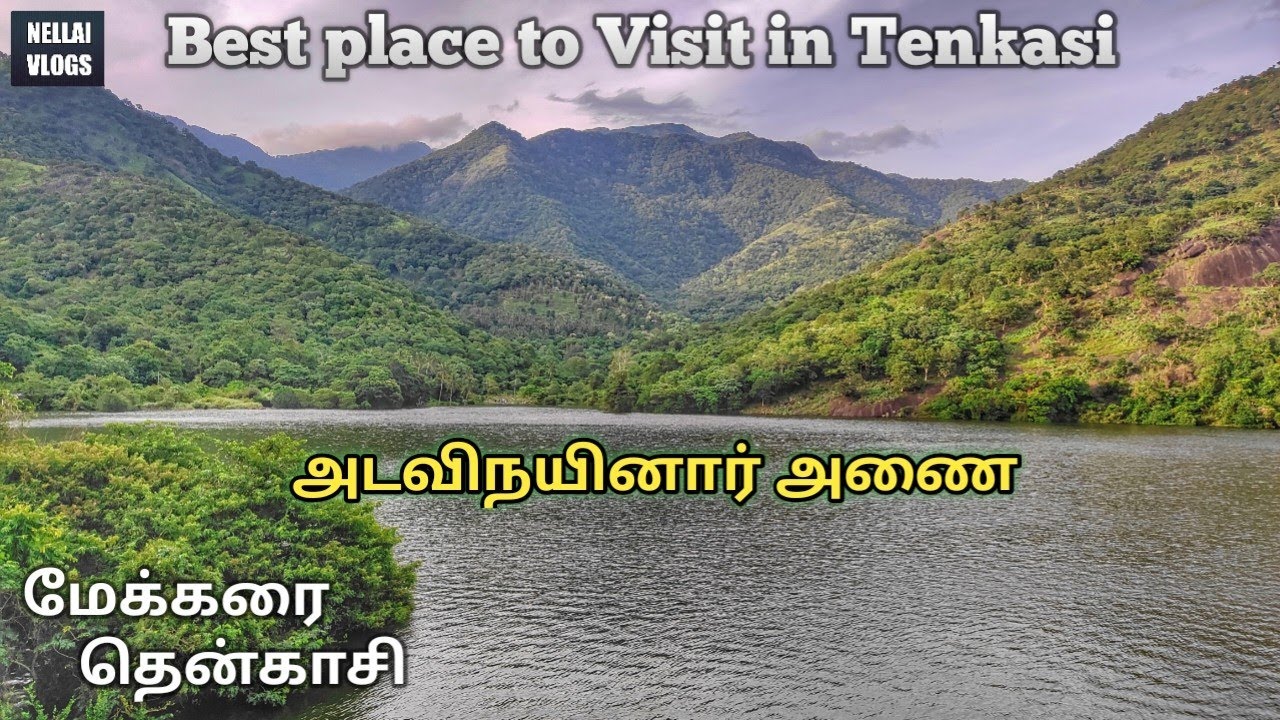 Adavinainar Dam Mekkarai Tenkasi | Beautiful place in Tenkasi | Nellai ...