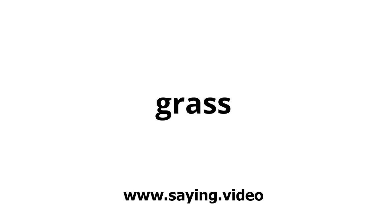 How to say grass in English - YouTube