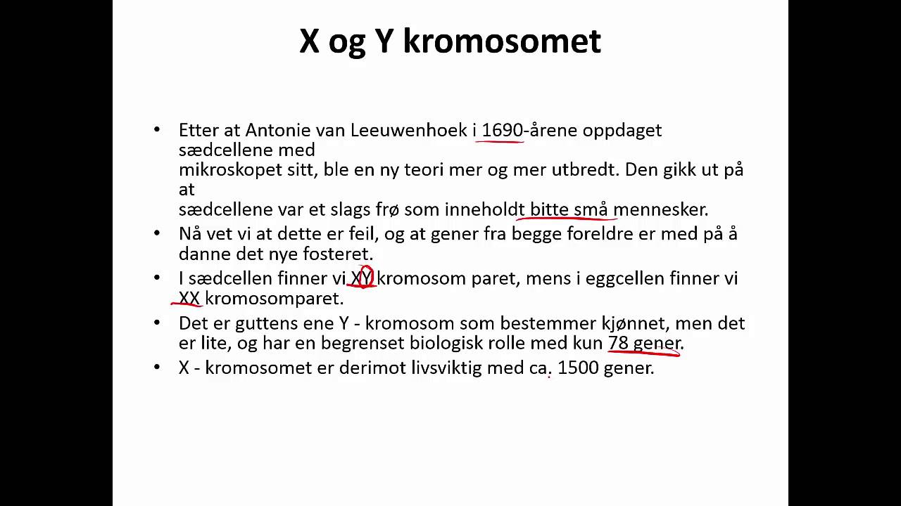 Arv - Kromosom og gener - YouTube