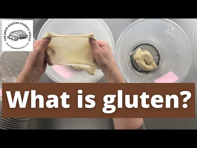 Gluten Structure In Dough