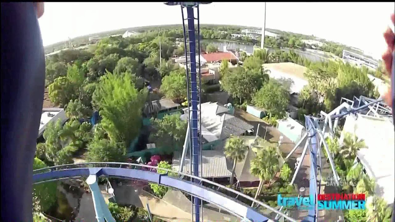 Manta At SeaWorld Orlando - YouTube