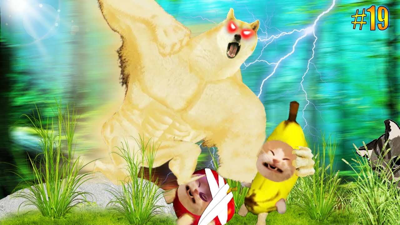 Chipi Chapa Trend Makes Cheems Dog Angry | The Funny Cat Cartoon 19 ...