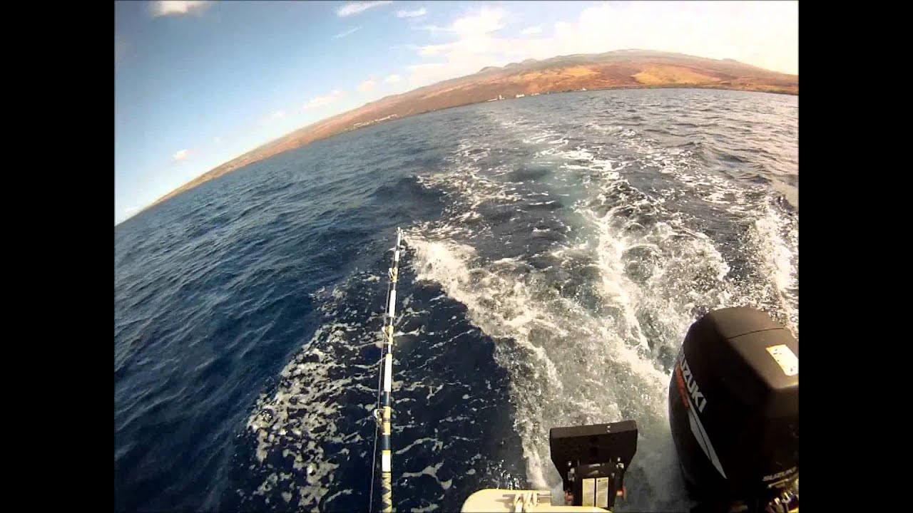 FISHING HAWAII - "BABY ONO (WAHOO)" - YouTube