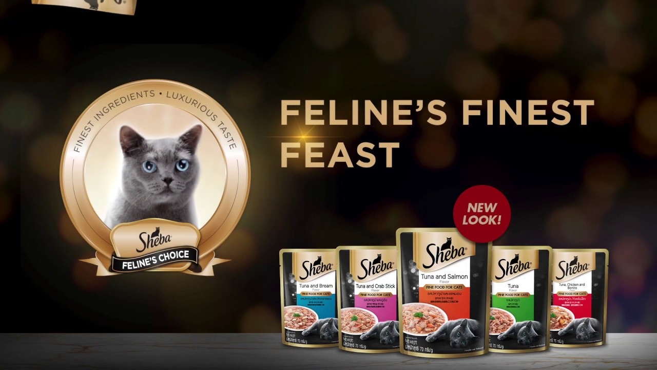Sheba® x Chef, NEW Pouch - YouTube