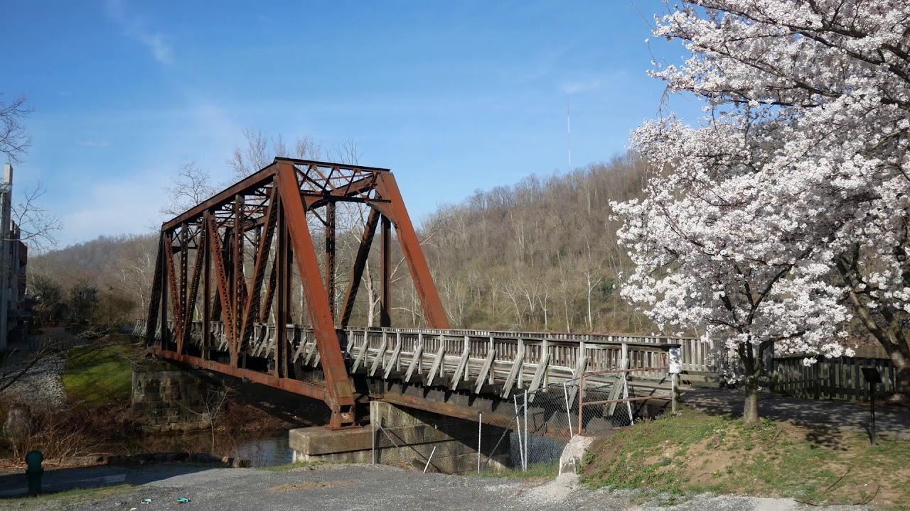 Cherry Blossoms in Morgantown Waterfront Park, West Virginia 2019 - YouTube