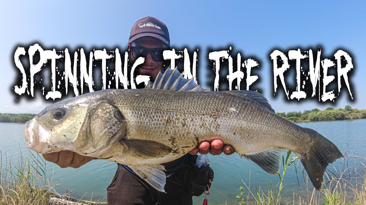 Το ΜΕΓΑΛΟ ΛΑΒΡΑΚΙ και η ΤΟΥΜΠΑ στο ΠΟΤΑΜΙ!!! - "SPINNING IN THE RIVER ...