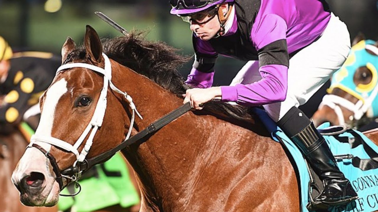 2020 John B. Connally Turf Cup - YouTube