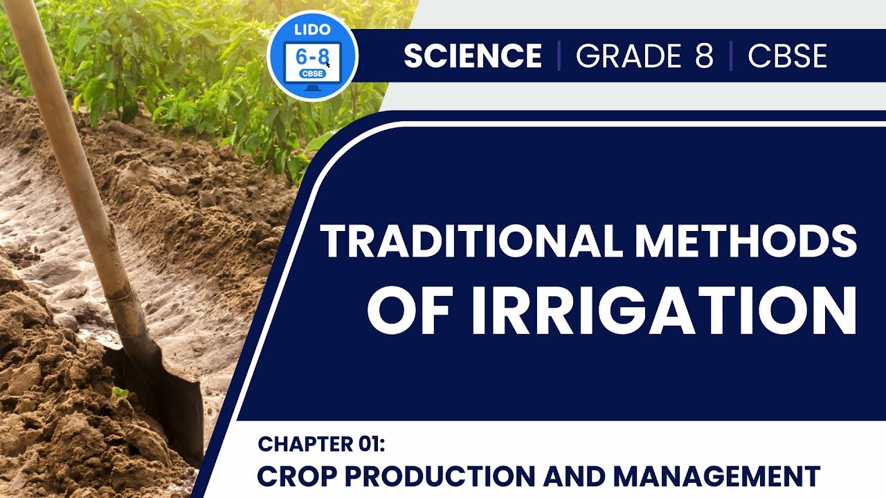 Traditional Methods of Irrigation | Crop Production and Management ...