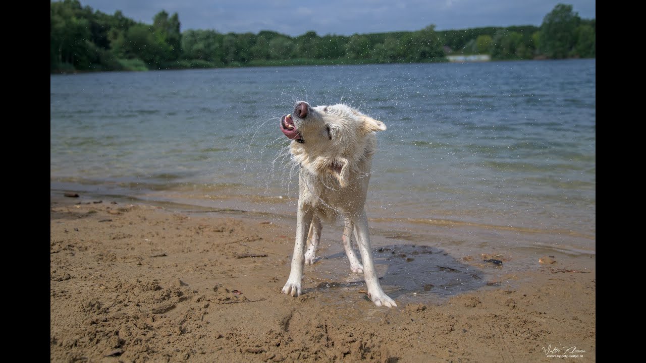 Luna bij de geffense plas - YouTube