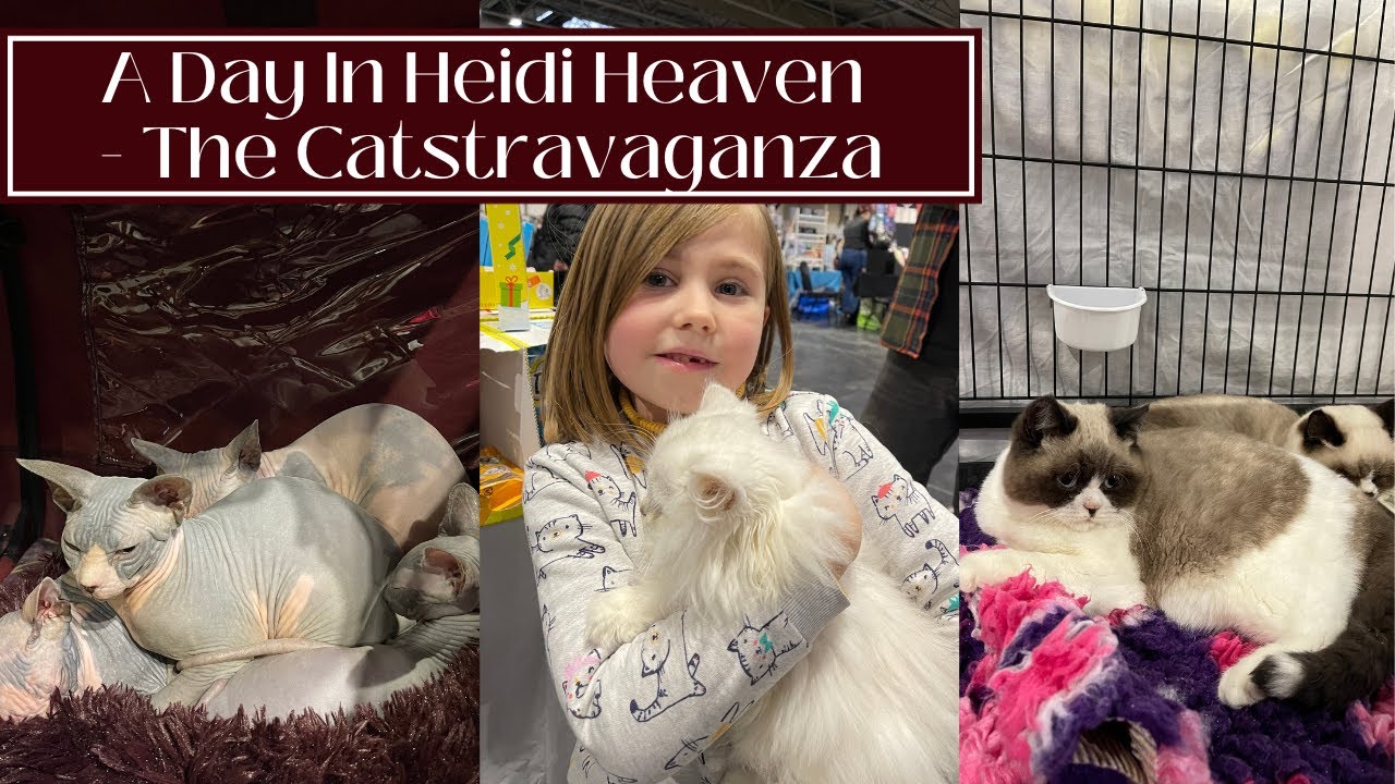 A DAY IN HEIDI HEAVEN - THE CATSTRAVAGANZA AT BIRMINGHAM NEC - YouTube