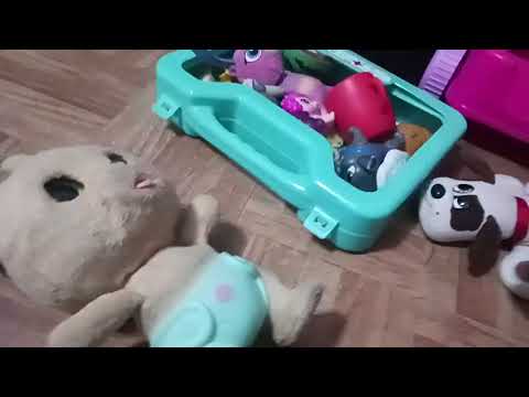 Baby Kangaroo and Shangy run away part 2 