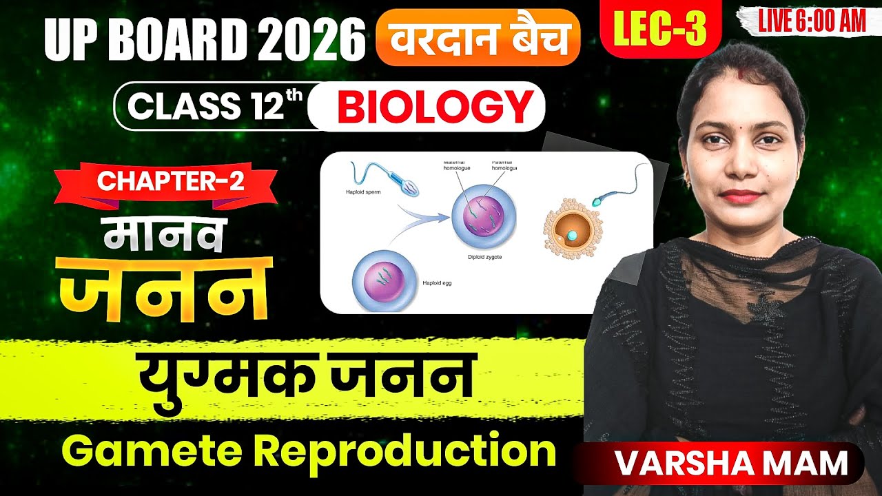 युग्मक जनन Gametogenesis | Class 12 Biology Chapter 2 | मानव जनन Human ...