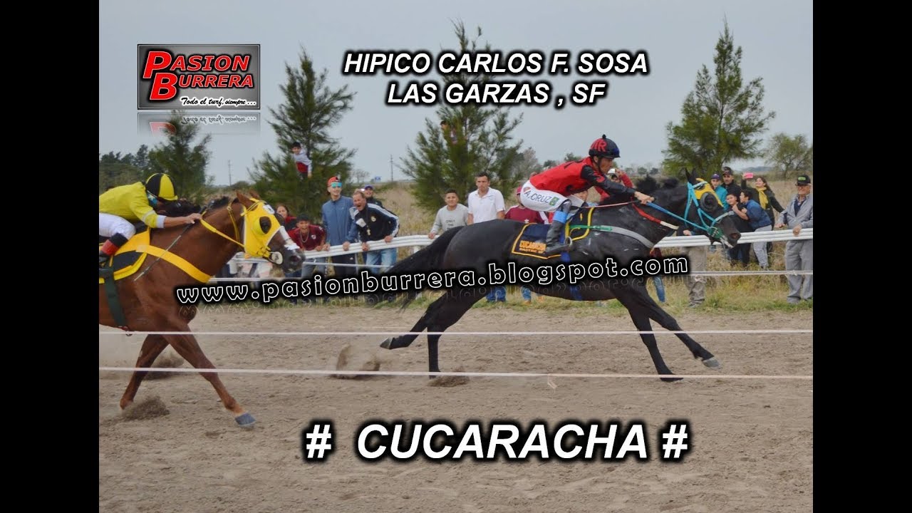 # CUCARACHA # SUPER CLASICO: Las Garzas (08-09-19) - YouTube