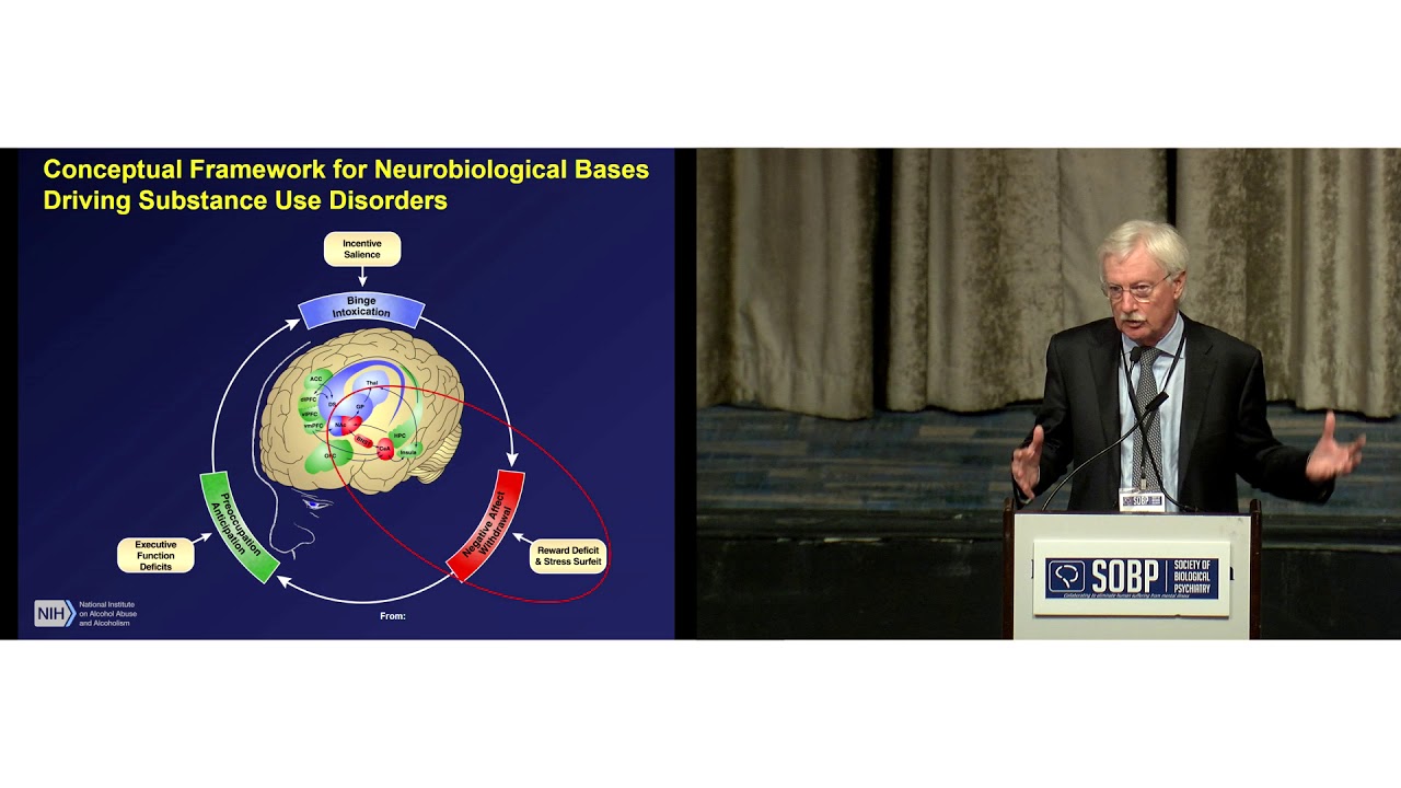 Dr. George Koob: Drug Addiction - The Gain in the Brain is in the Pain ...