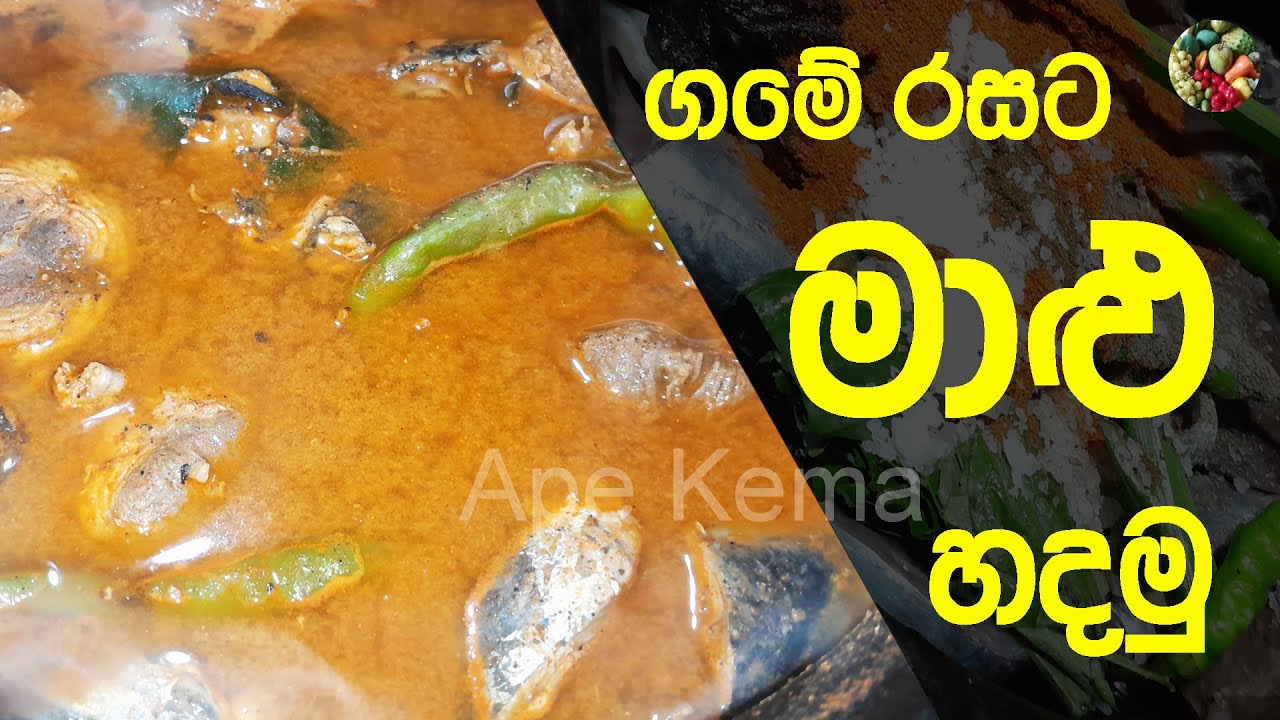 ️ ගමේ රසට මාළු හදමු | Malu mirisata Malu Curry Sinhala Recipe Sri Lanka ...