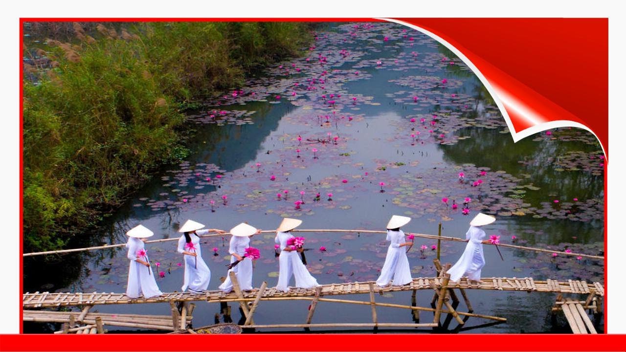 These 49 Photographers Show What Spring Looks Like Around The World 🙃 ...