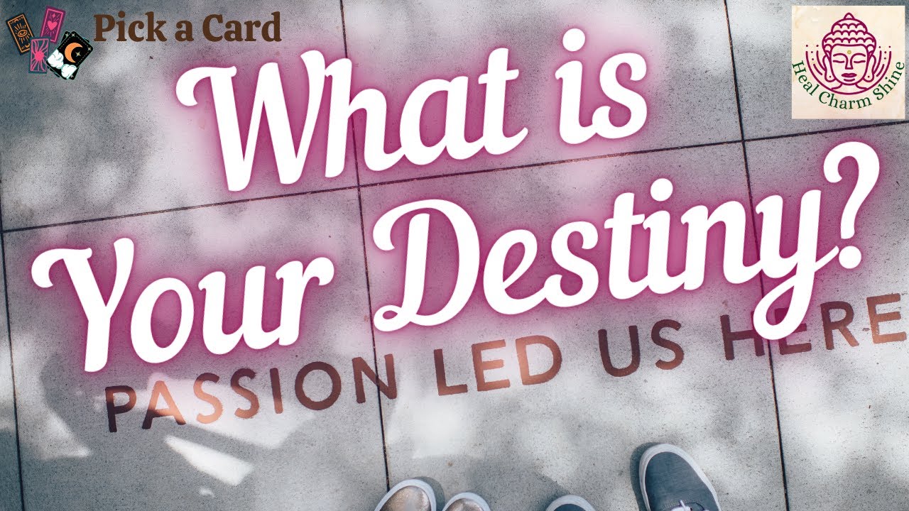What is Your Destiny? What Will Make you Successful? 🌞🌝⭐ |🔮Pick a Card💰 ...