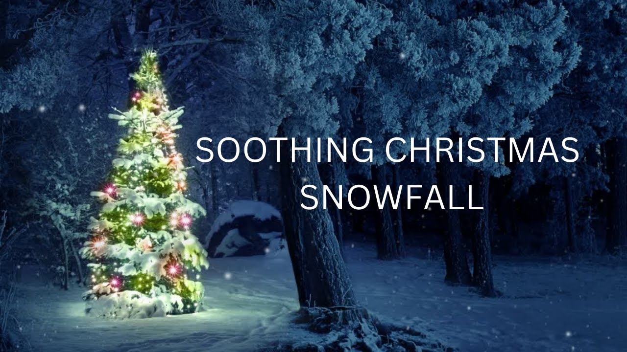 Winter storm sounds, winter snowfall, winter snowstorm sounds, complete ...