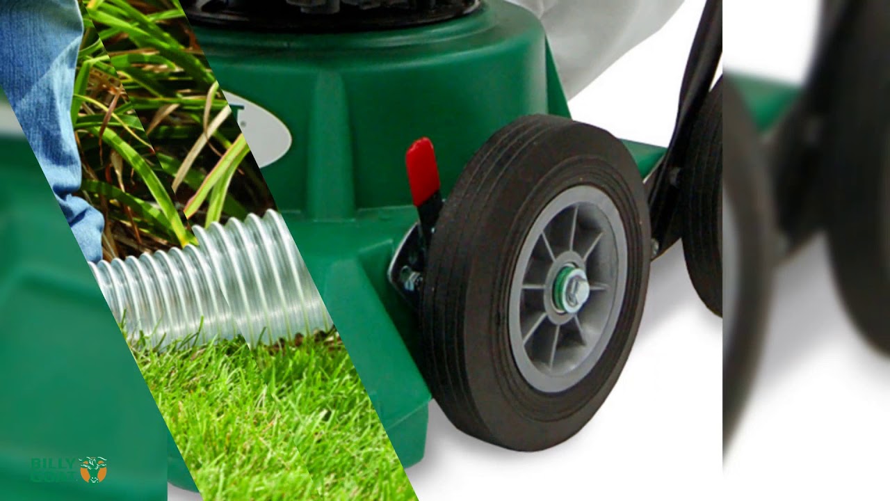 LITTLE BILLY GOAT LB352 - YouTube