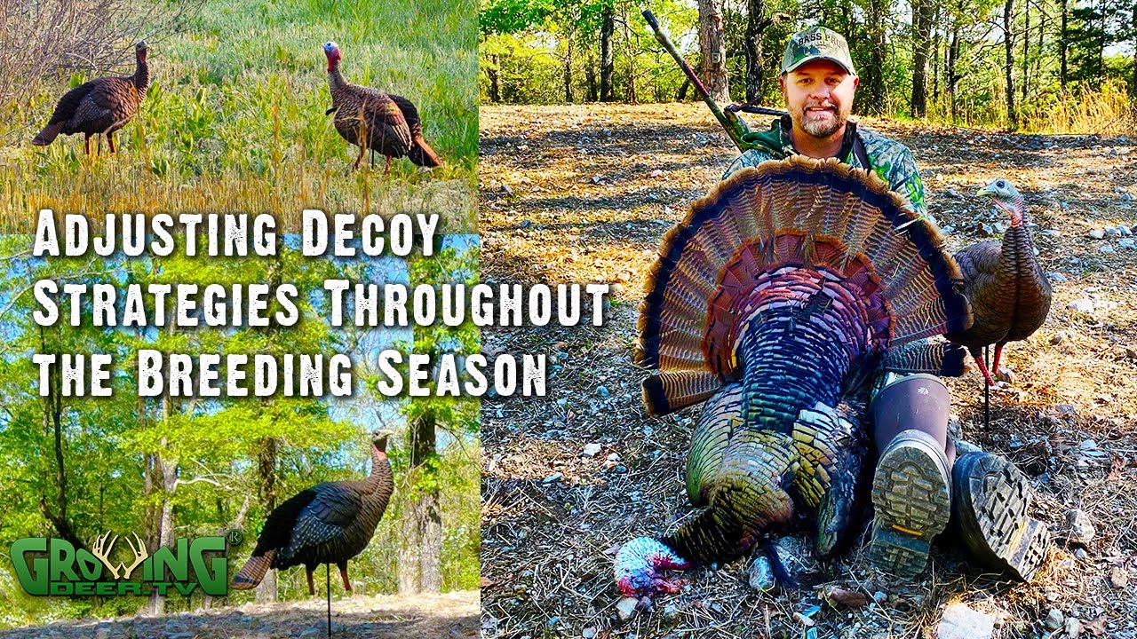 Turkey Hunting Using Decoys: Tagged a Tom in the Afternoon by Changing ...