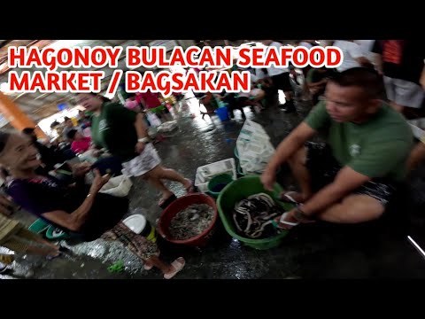 HAGONOY FISHPORT BAGSAKAN NG SEA FOOD SA BULACAN / ANG MAHAL NG ...