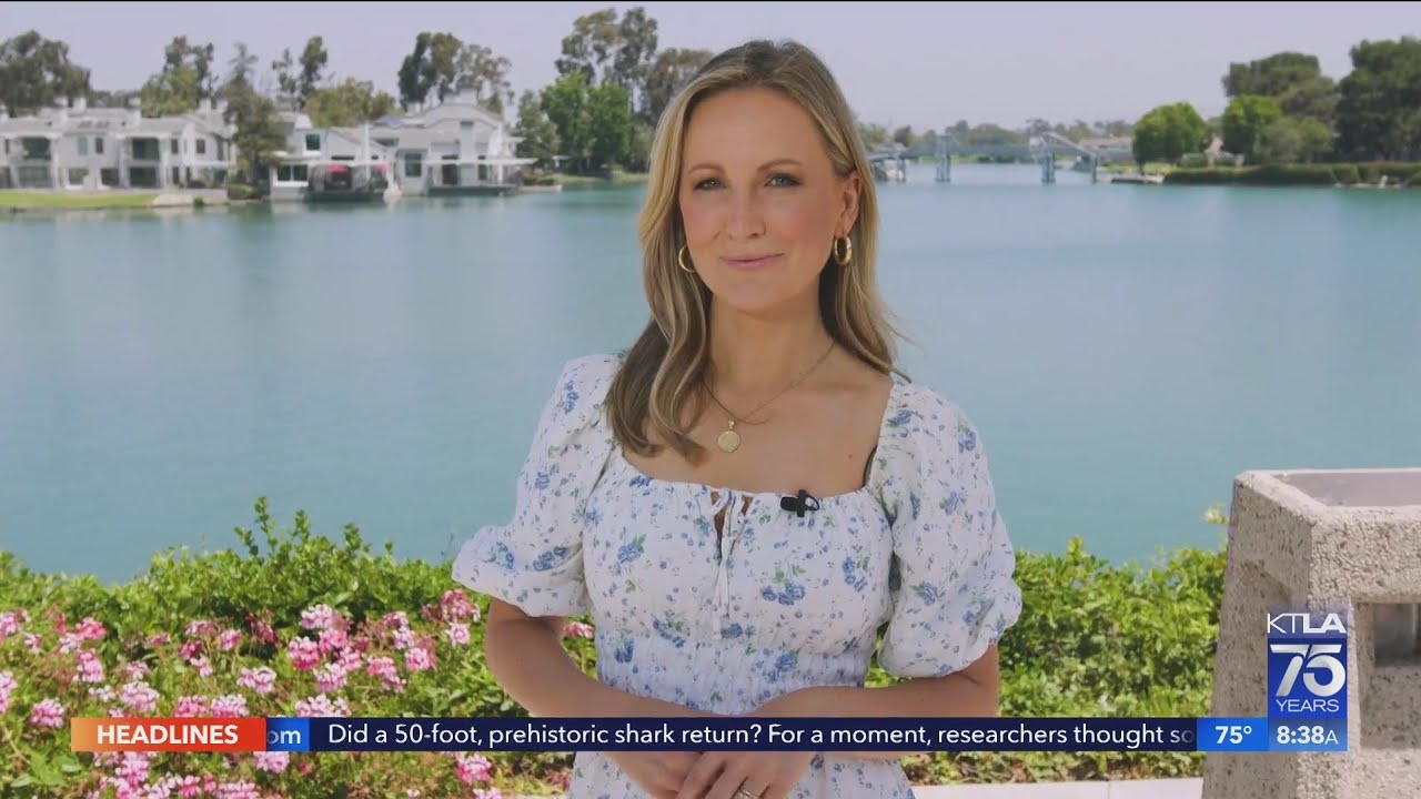 Lauren Lyster's news career started on her front yard in Irvine - YouTube