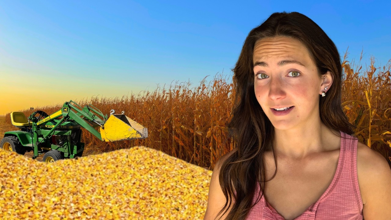 I Spilled So Much Corn - YouTube