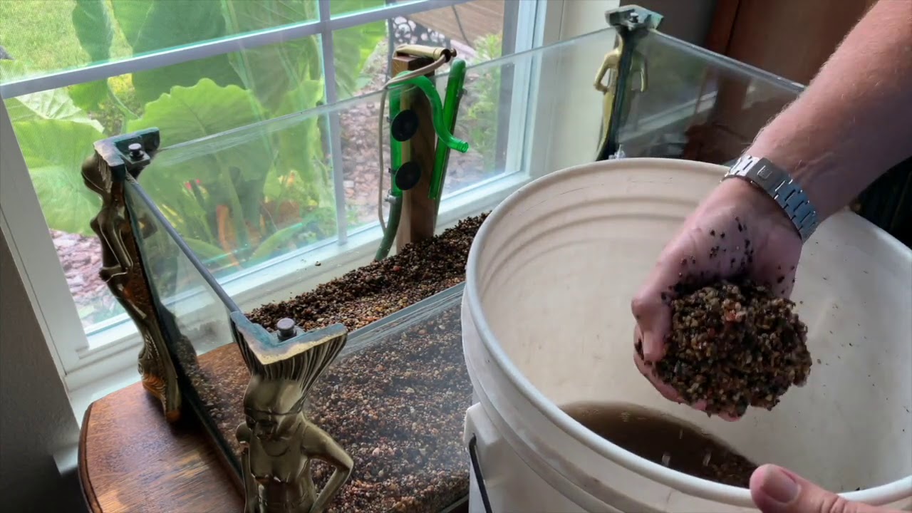 How to build a Plenum to establish Anoxic conditions in your aquarium ...