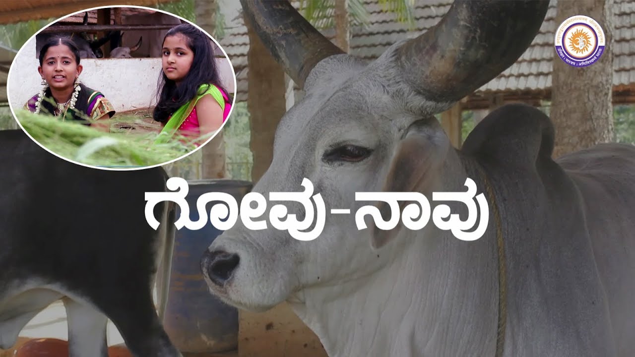 Govu Naavu - ಗೋವು ನಾವು | We & Gou - YouTube