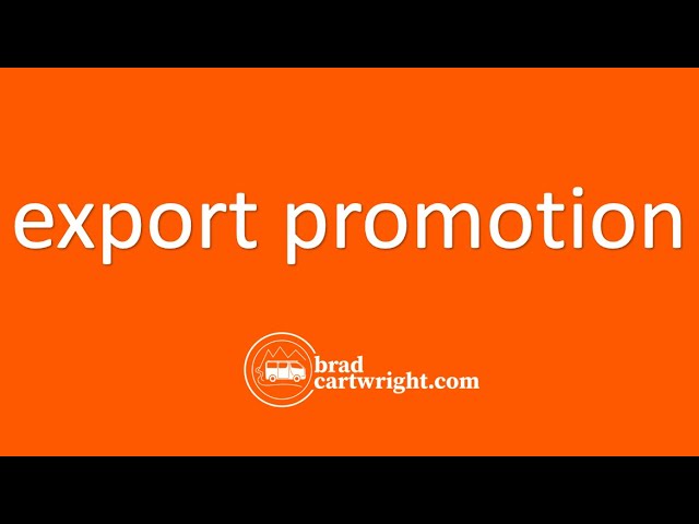What is Export Promotion? | IB Development Economics | The Global ...
