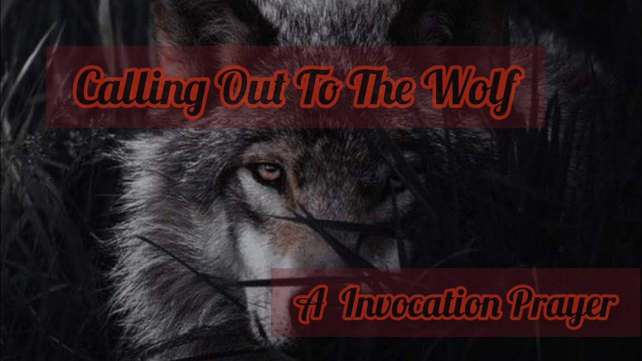 A invocation prayer to awaken the wolf spirit 🐺 connect with your pack ...