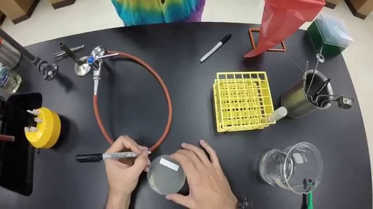 Lab Demo: Kirby Bauer - YouTube