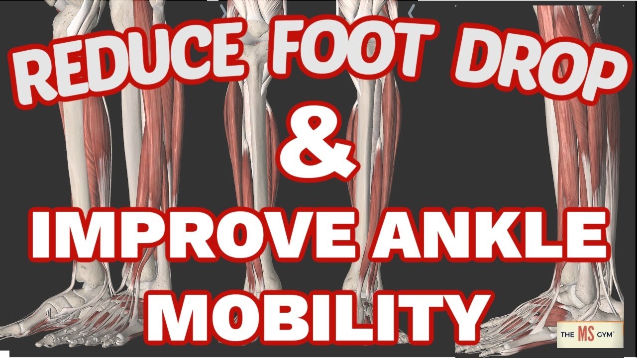 MULTIPLE SCLEROSIS EXERCISE - Reduce Foot Drop/Improve Ankle Mobility # ...