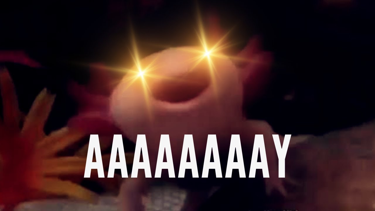 AAAAAAAY (AJOLOTE GRITANDO) - YouTube