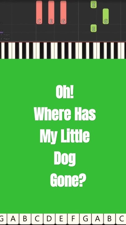 Easy piano song for beginners: how to play "Oh Where Has My Little Dog ...