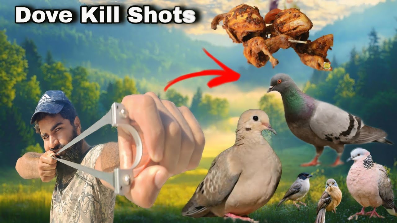 Amazing Birds Hunting Video with SlingShot Ever ! - YouTube