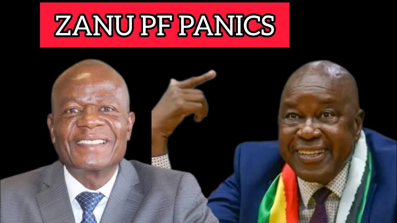 CHAOS ! ZANU PF PANICS AS VP FLEXES MUSCLES - YouTube